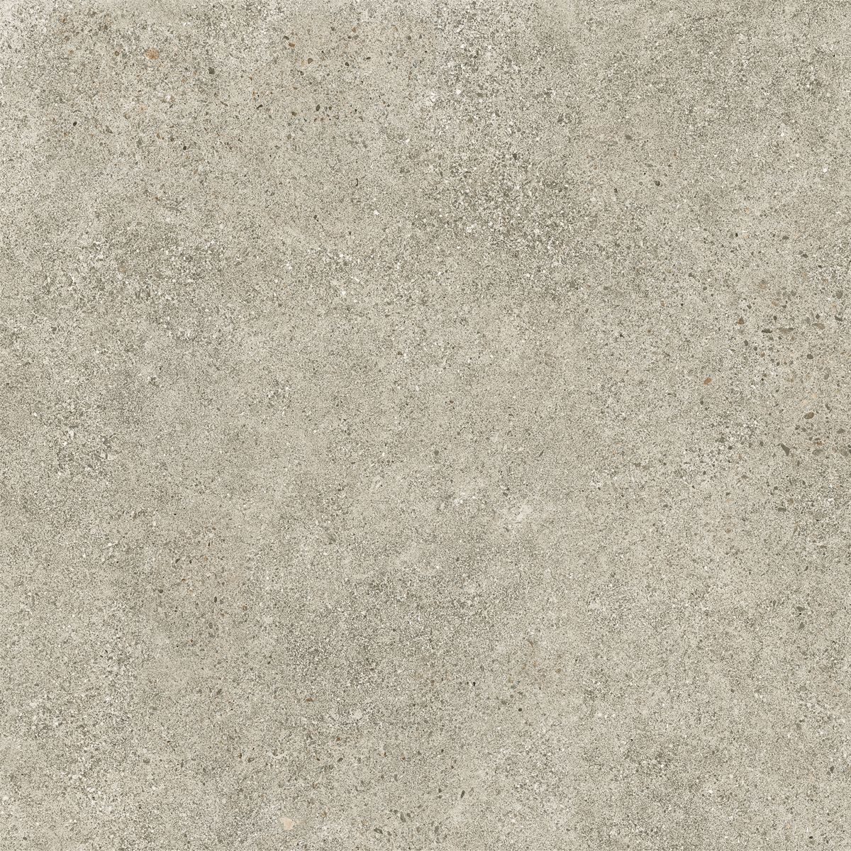 DEEP COLORI ASH NAT RET 99653 80x80 (плитка для підлоги і стін) - buy ...